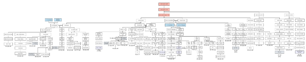 The Growing Phenomenon of the Unlinked Family Cluster - The Genetic ...